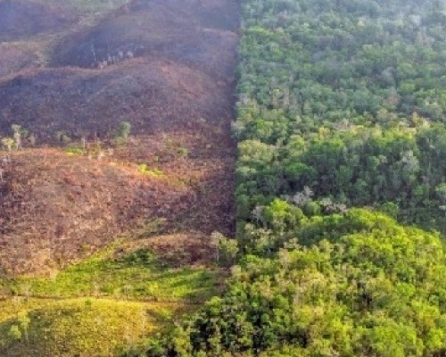 Poema "De López y del antiecológico Aeropuerto de Tulum" por Gonzalo ...